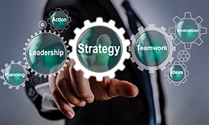 Services | The Potomac Group